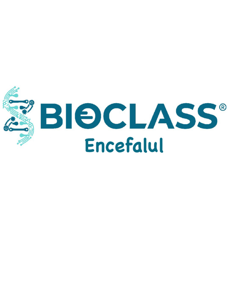 7 Encefalul | PDF