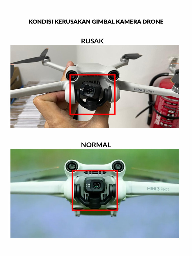 Gimbal Foto | PDF