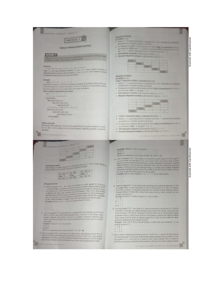 Bac Info Tablouri Bidimensionale | PDF
