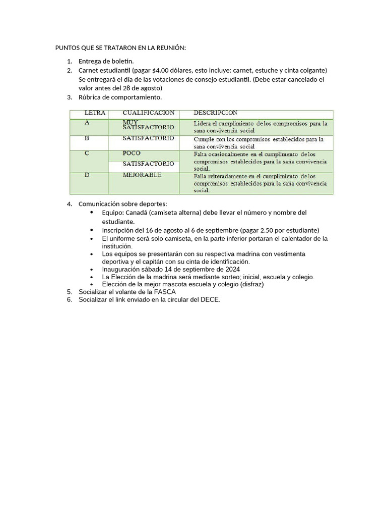 Puntos A Tratar en La Reunión | PDF