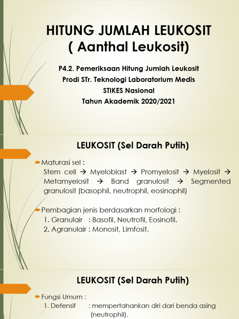 Hitung Jumlah Leukosit | PDF
