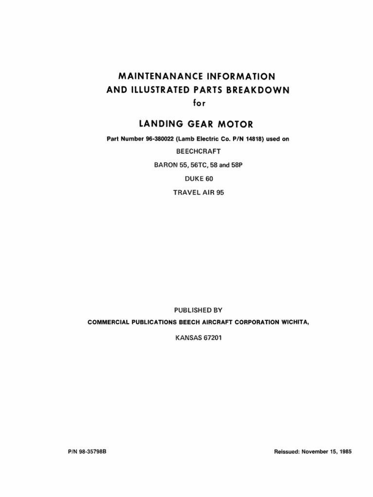 LDG Motor Manual | PDF