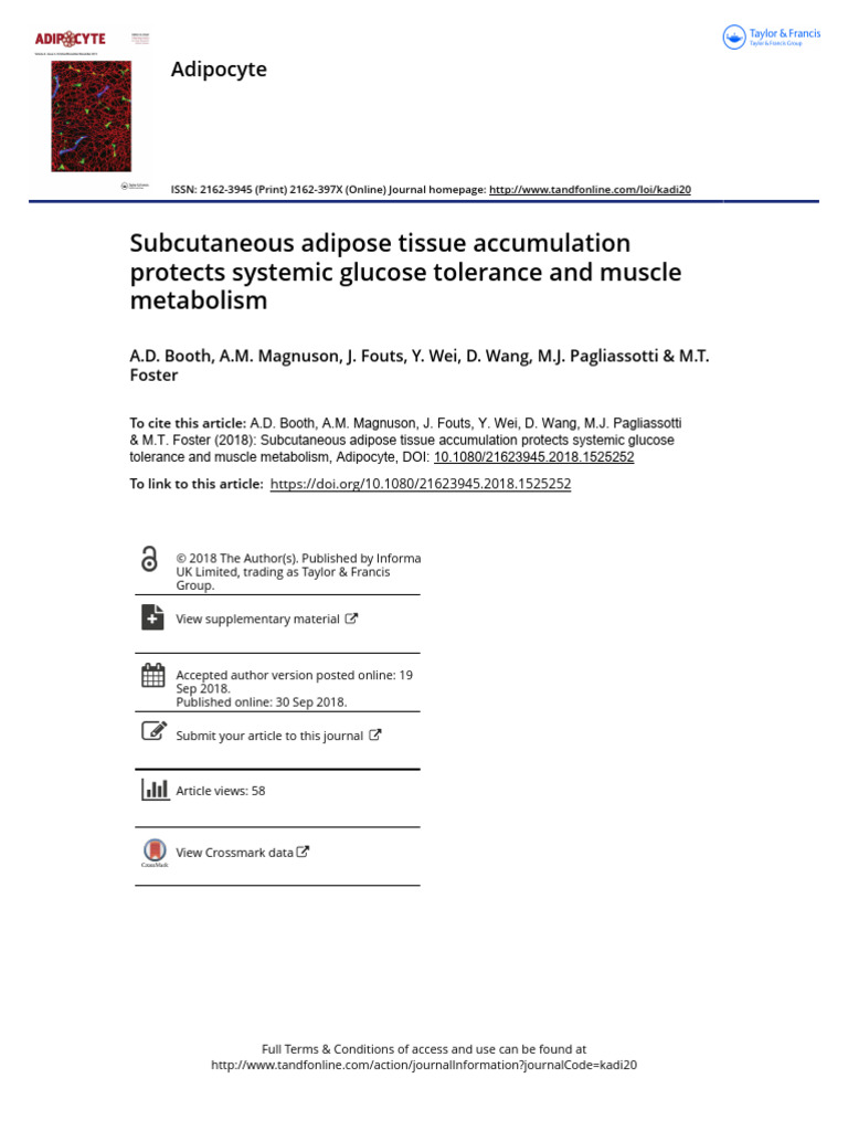 Subcutaneous Adipose Tissue Accumulation Protects | PDF