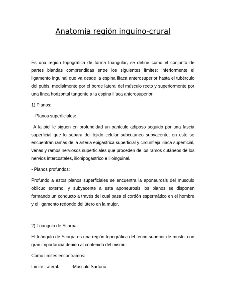 Anatomía Canal Inguinal | PDF