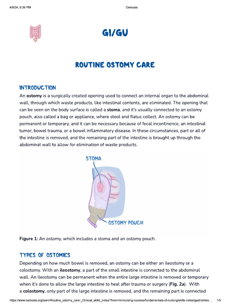 ostomy care | PDF