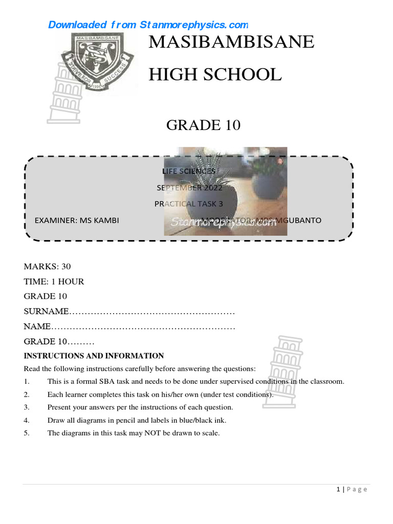 Life Sciences Grade 10 TERM 3 Practical Task 2022 and Memo | PDF | Food Web | Ecosystem