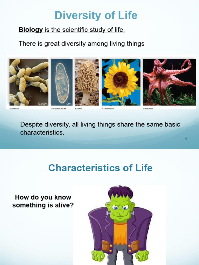 Biology The Study of Life. Origin of Life | PDF