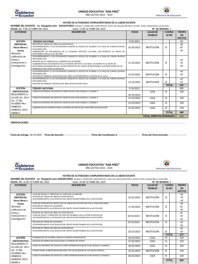 Matriz de Actividades Complementarias de La Labor Docente | PDF