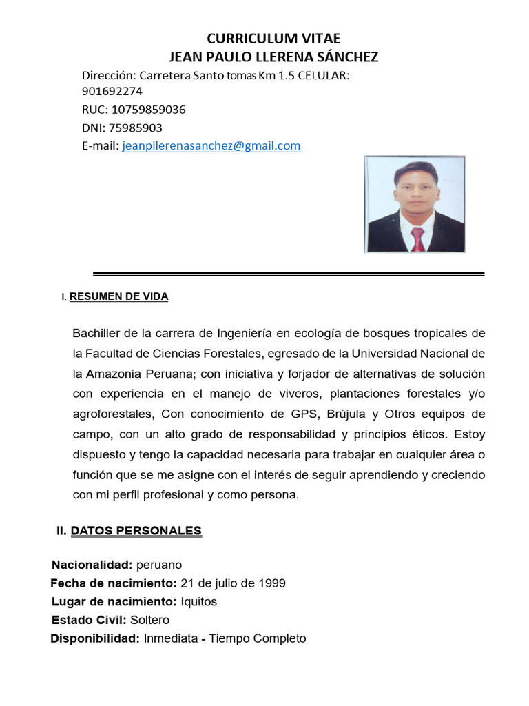CV - Llerena Paulo - Merged | PDF