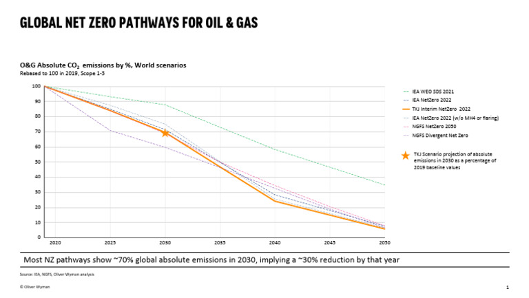 Net-Zero Pathways | PDF