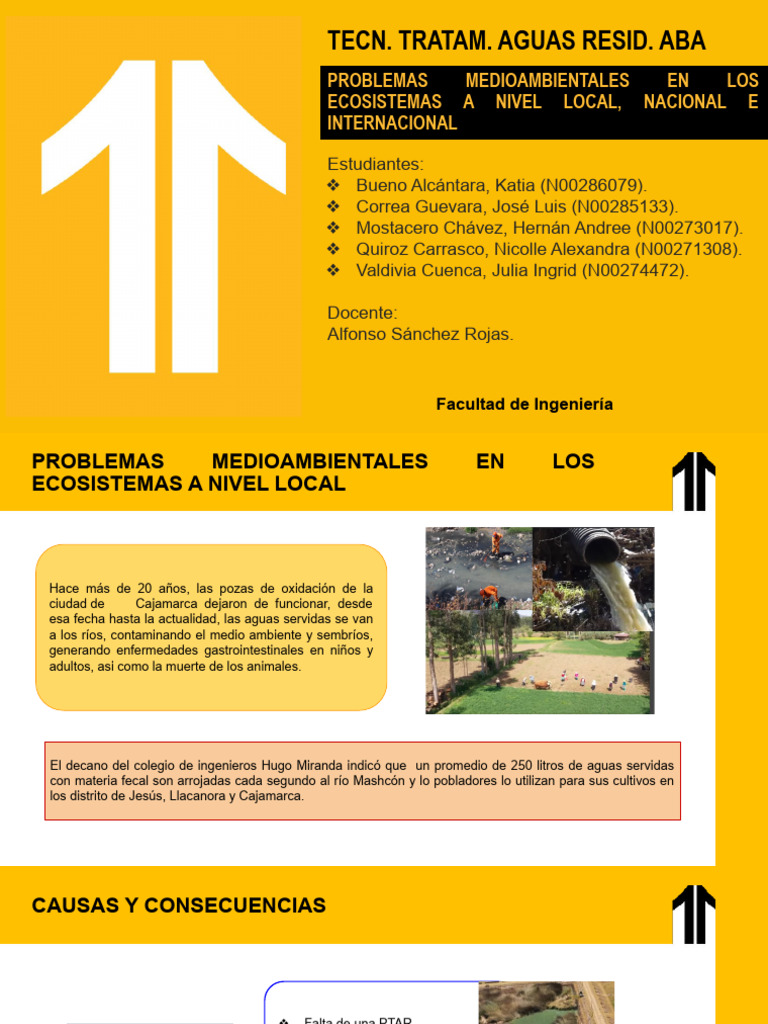 G5 - PPT Problemas Medioambientales | PDF