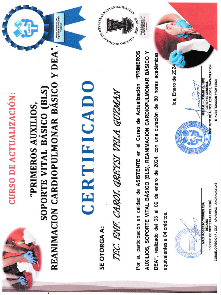 Carol Greysi Vela Guzman | PDF