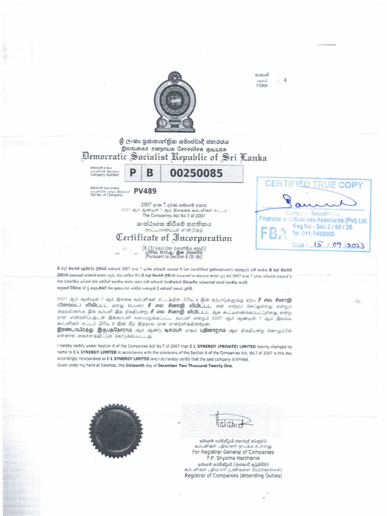 Business Registration | PDF