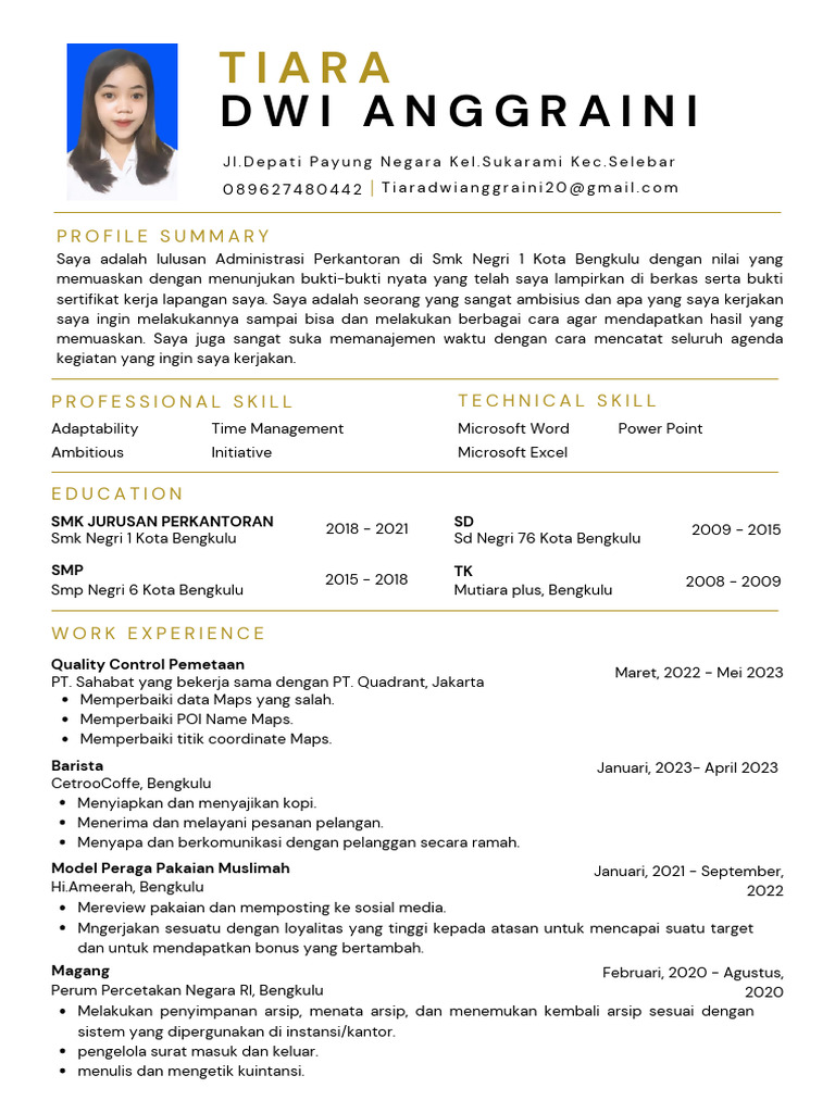 White Gold Elegant Minimalist Data Analyst Resume CV A4 Printable | PDF