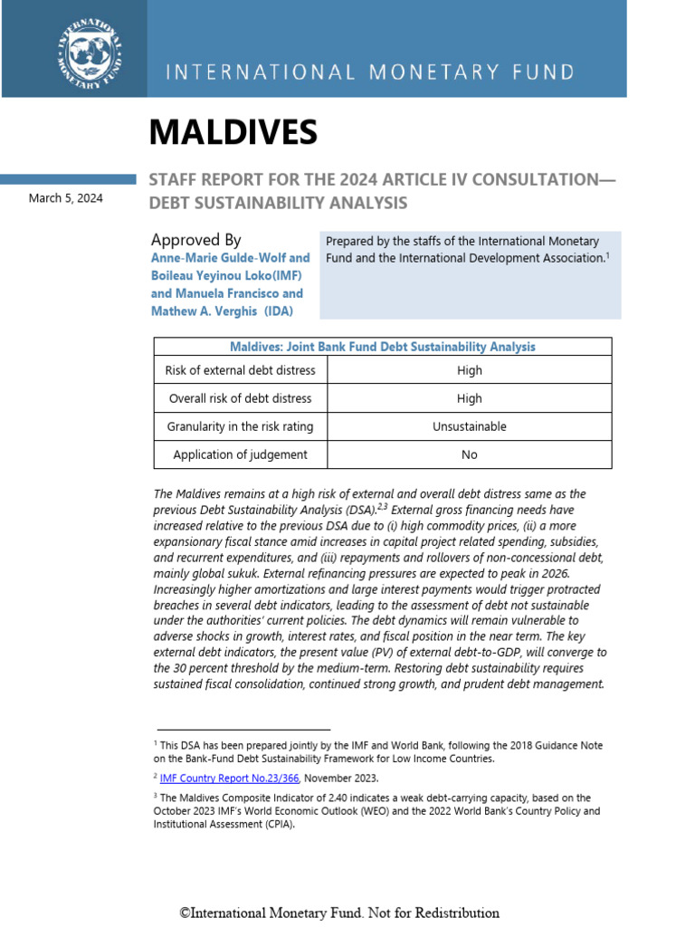IMF Report 1 | PDF