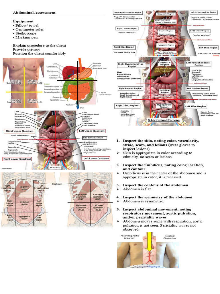 Health Assessment. Abdominal | PDF | Abdomen | Pulse