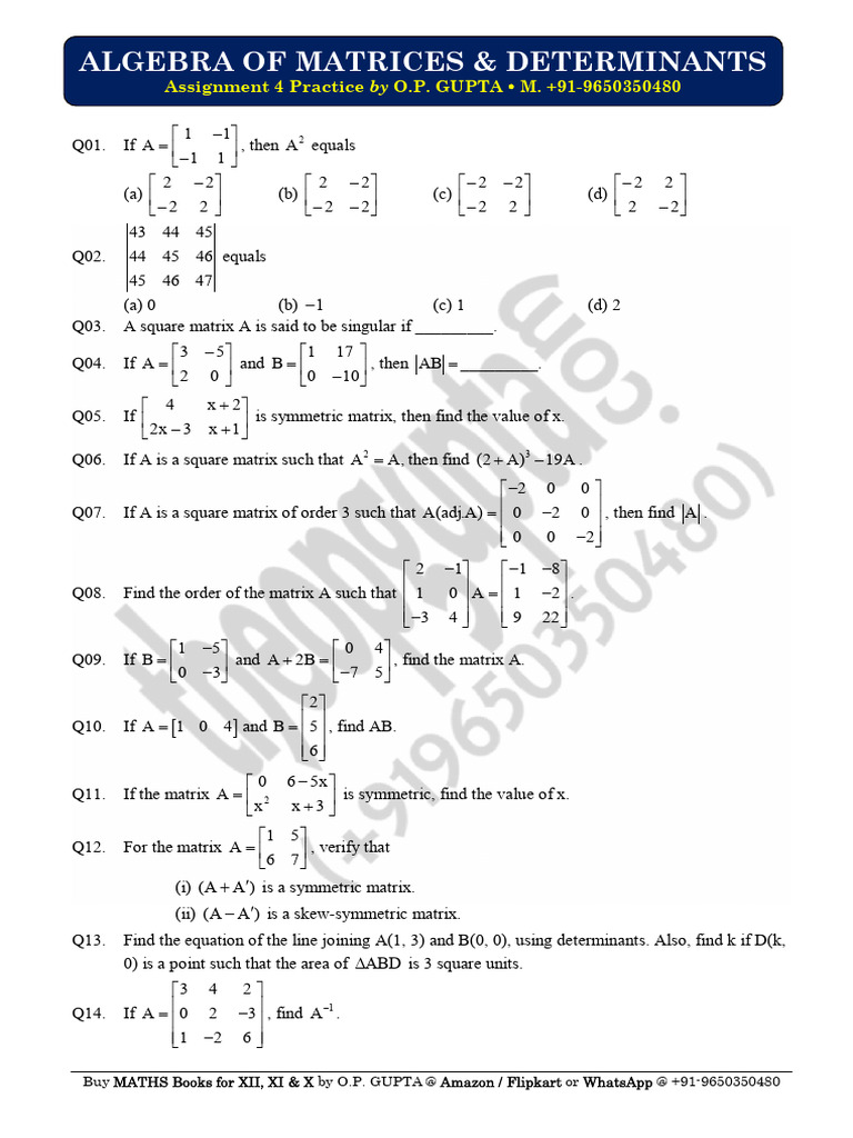 A4P-Matrices & Determinants | PDF