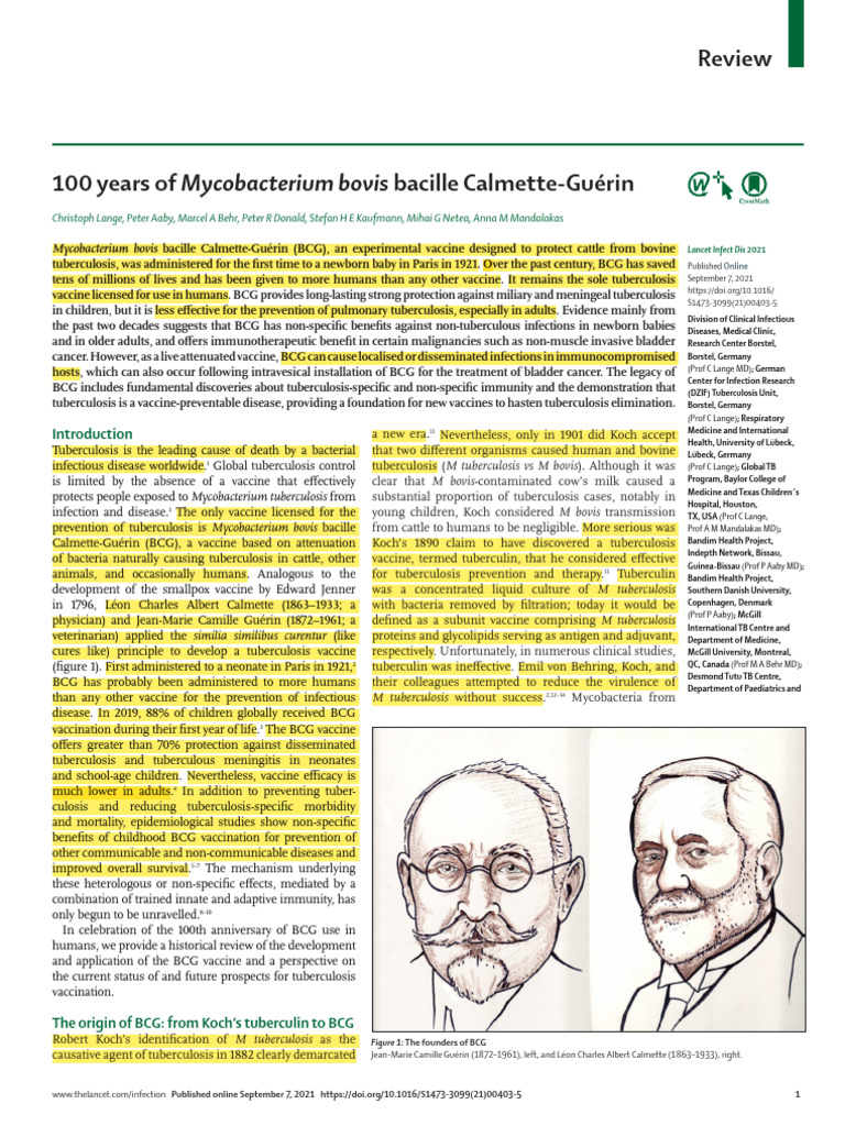 100 Years BCG | PDF