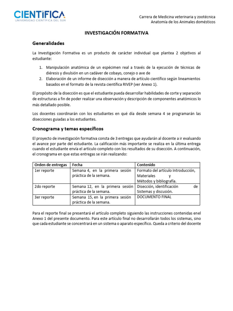 Investigación Formativa | PDF