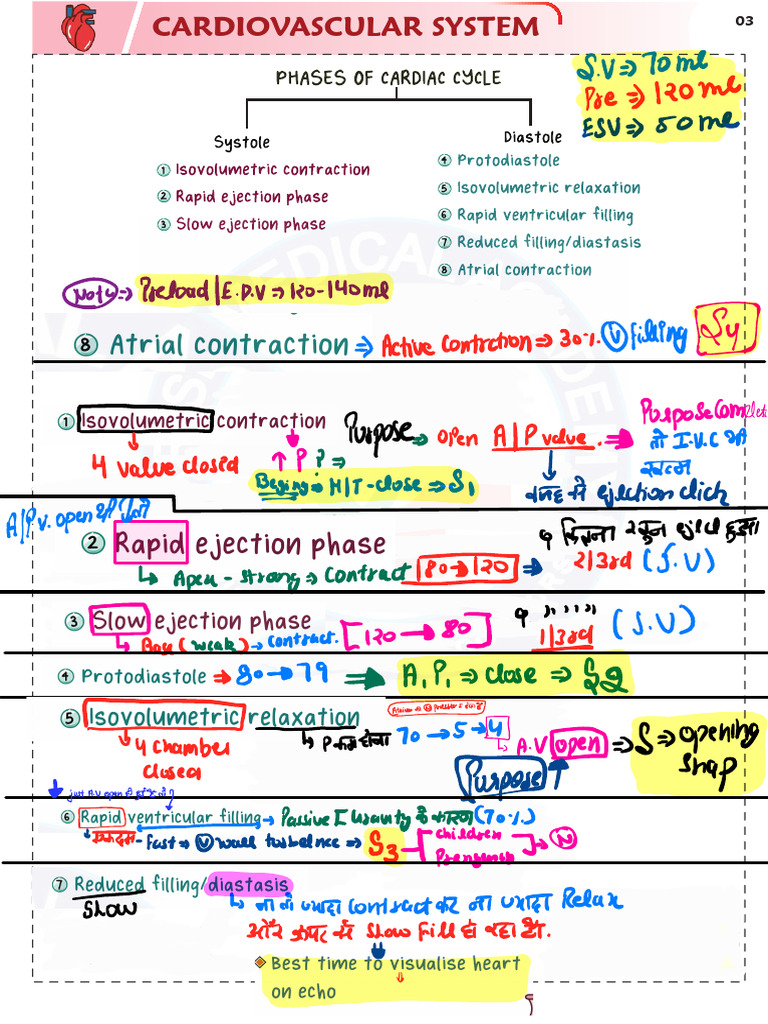 Sree Teja Physiology | PDF