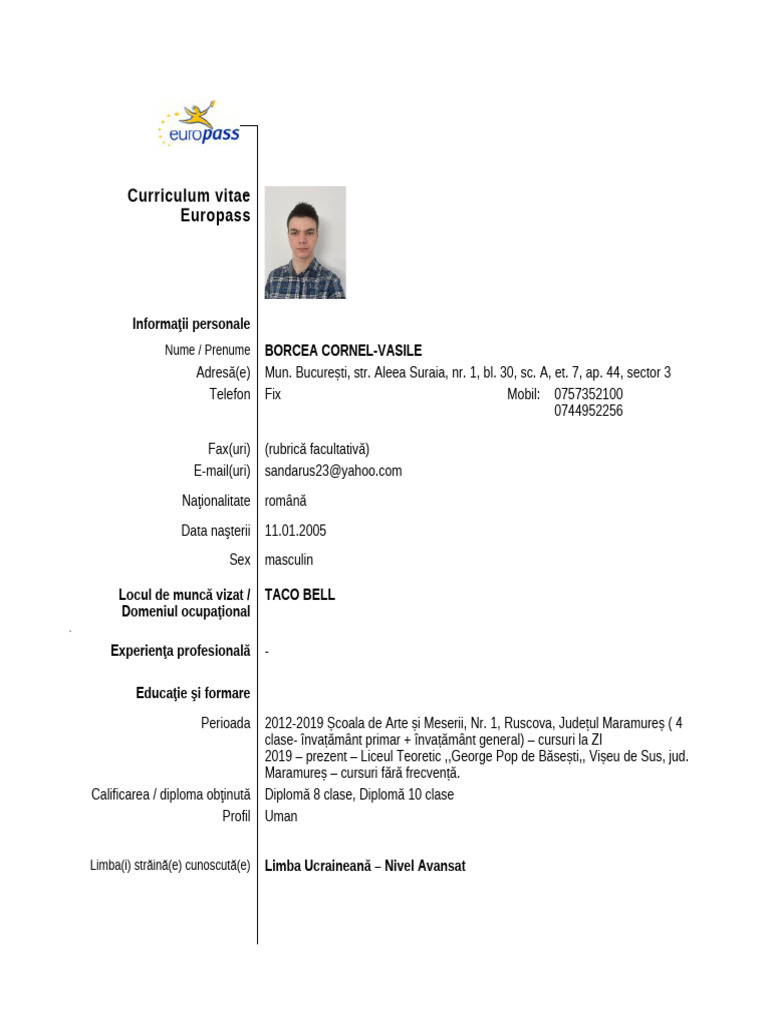 cv europass KFC | PDF