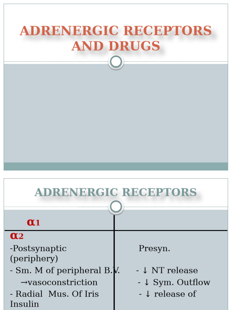 Adrenergic | PDF