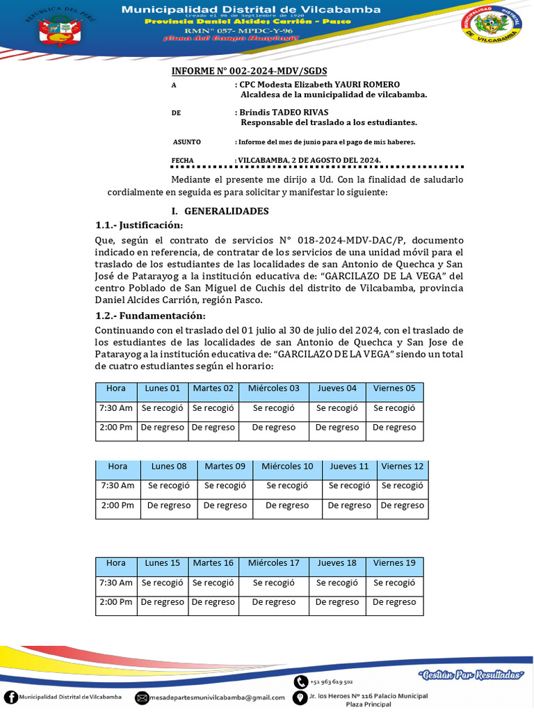Informe 002 MDV | PDF