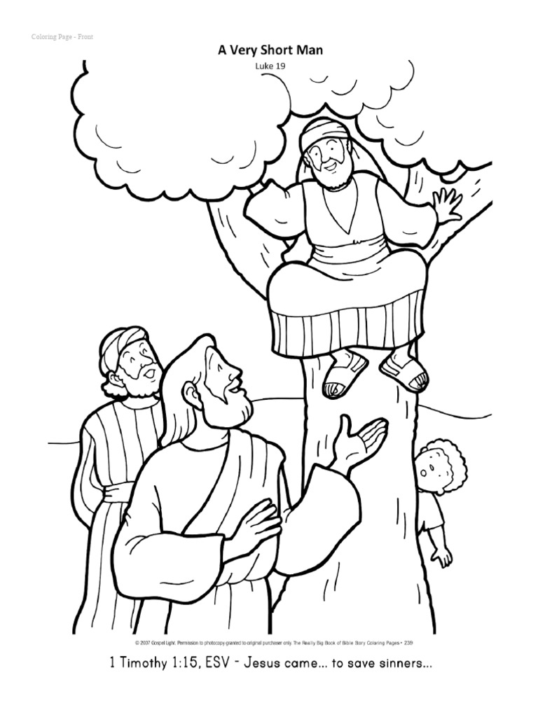 PK NT 21 Resources (A Very Short Man) | PDF