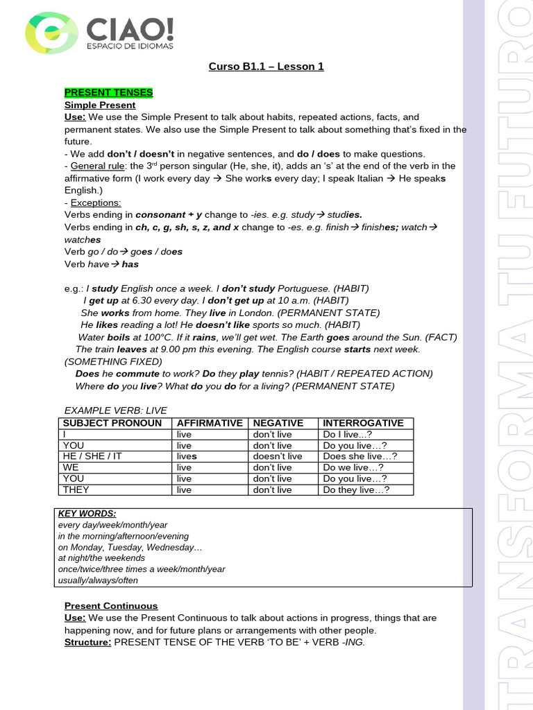 B1.1 - Lesson 1 Review | PDF