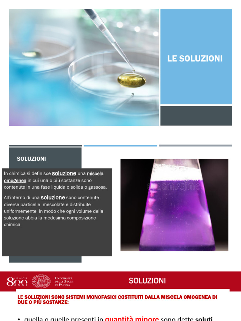 3.le Soluzioni Sfa | PDF