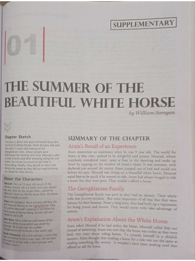The Summer of The Beautiful White Horse | PDF