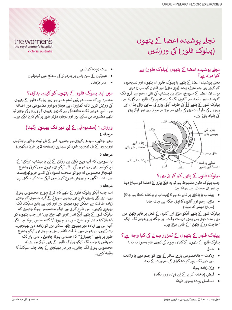Pelvic Floor Exercises URDU | PDF