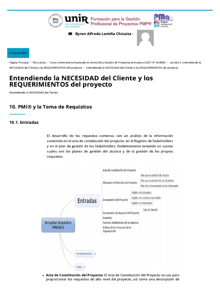 Entendiendo La NECESIDAD Del Cliente y Los REQUERIMIENTOS Del Proyecto ...
