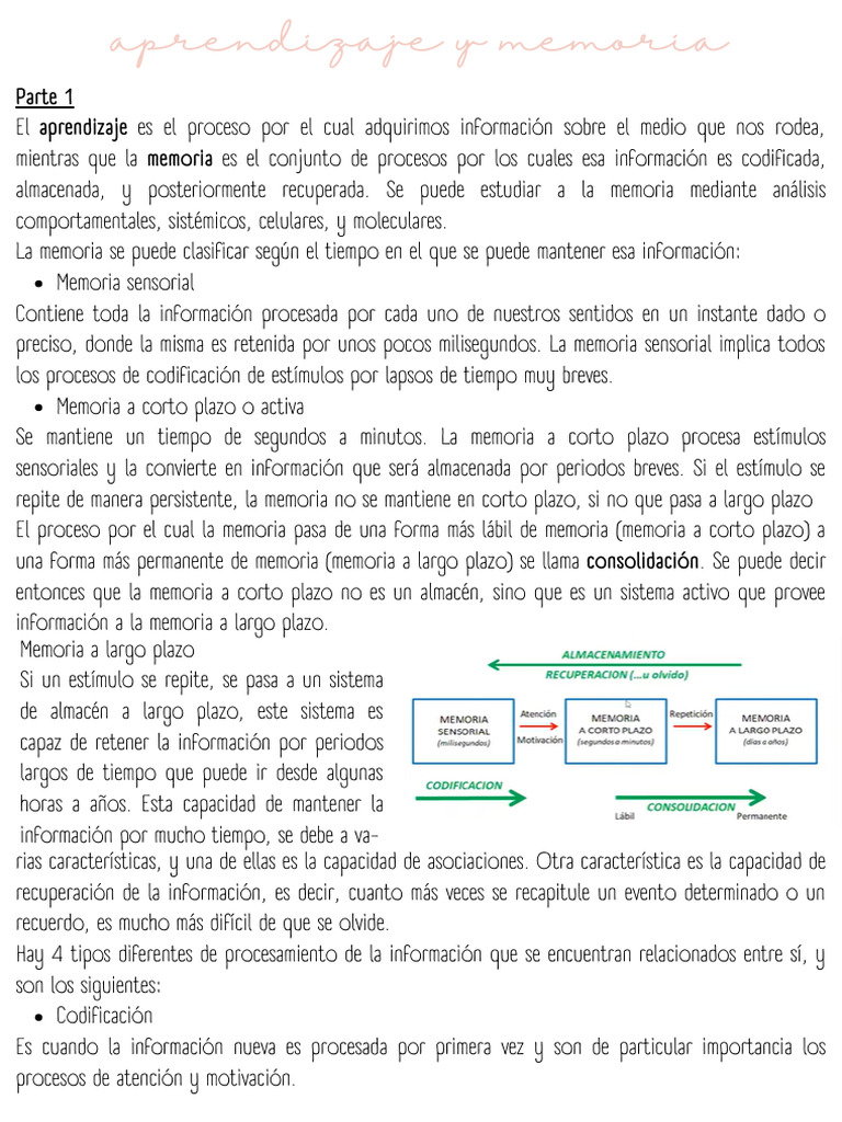 Aprendizaje Y Memoria Pdf