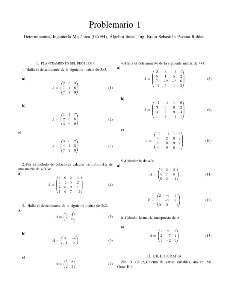 Algebra Lineal Ejer | PDF