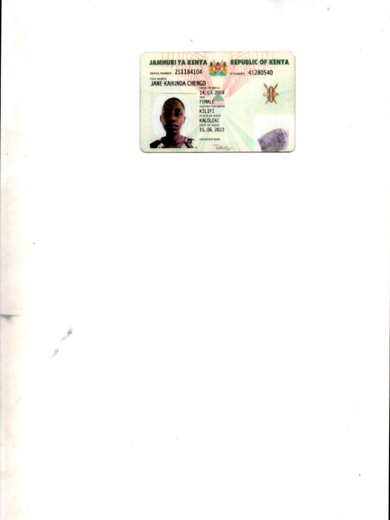 Jane Chango Id | PDF