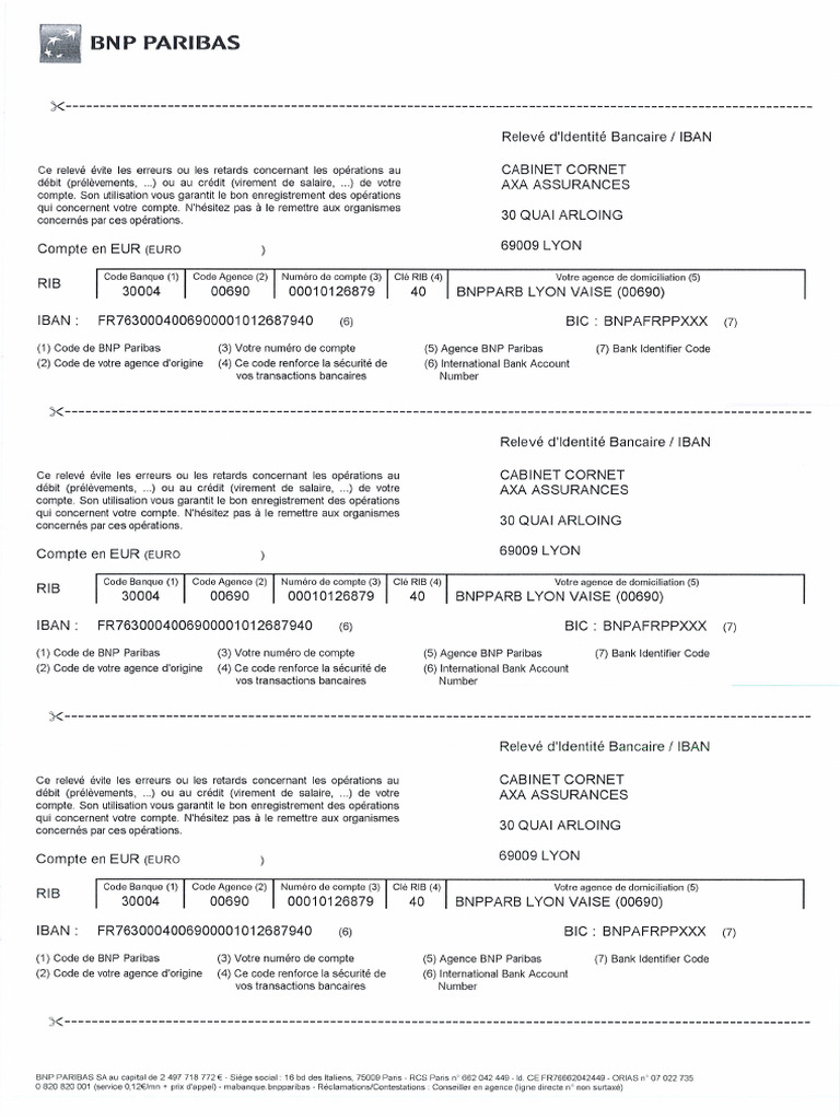 Rib BNP Encaissement Client | PDF