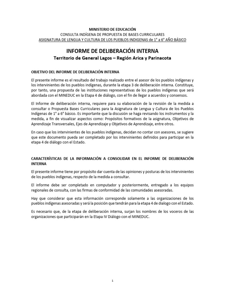 Ejemplo de Informe Delib Interna | PDF