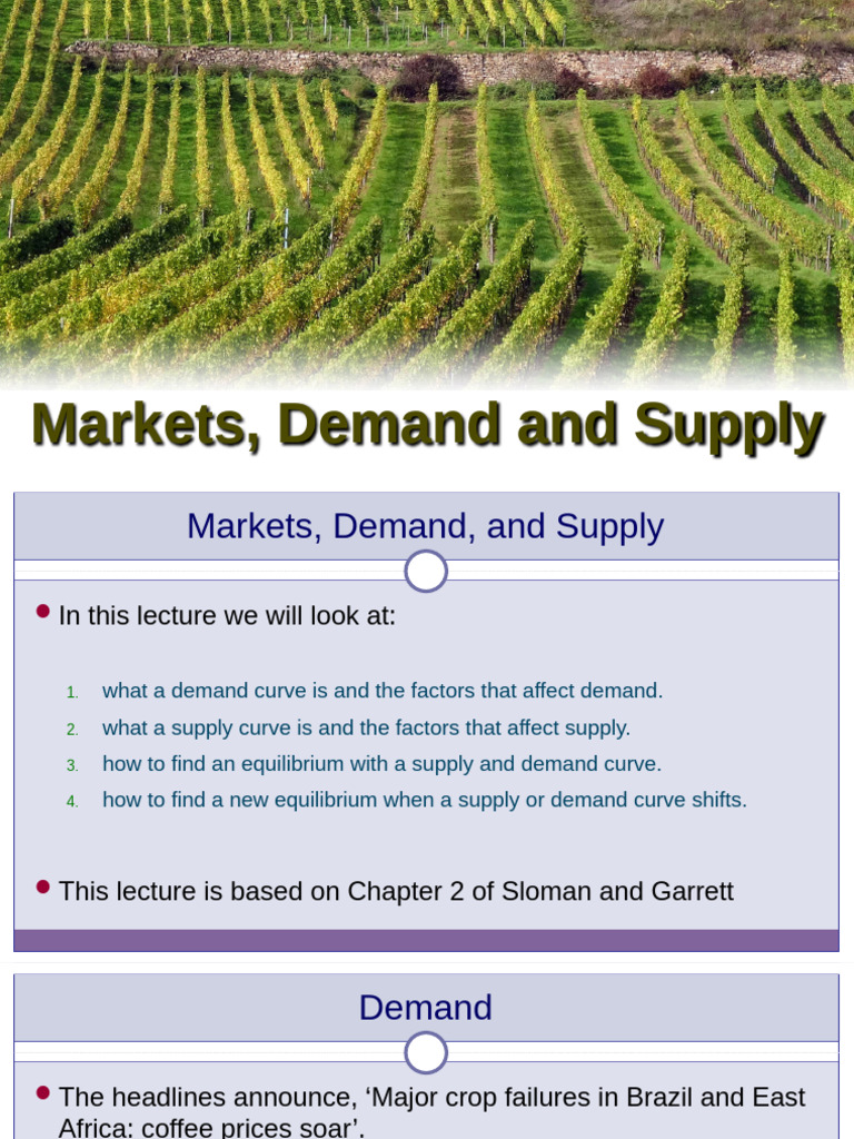 Econ Lecture1 Slides | PDF