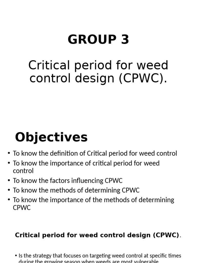 Group 3 Presentation 2.2 | PDF