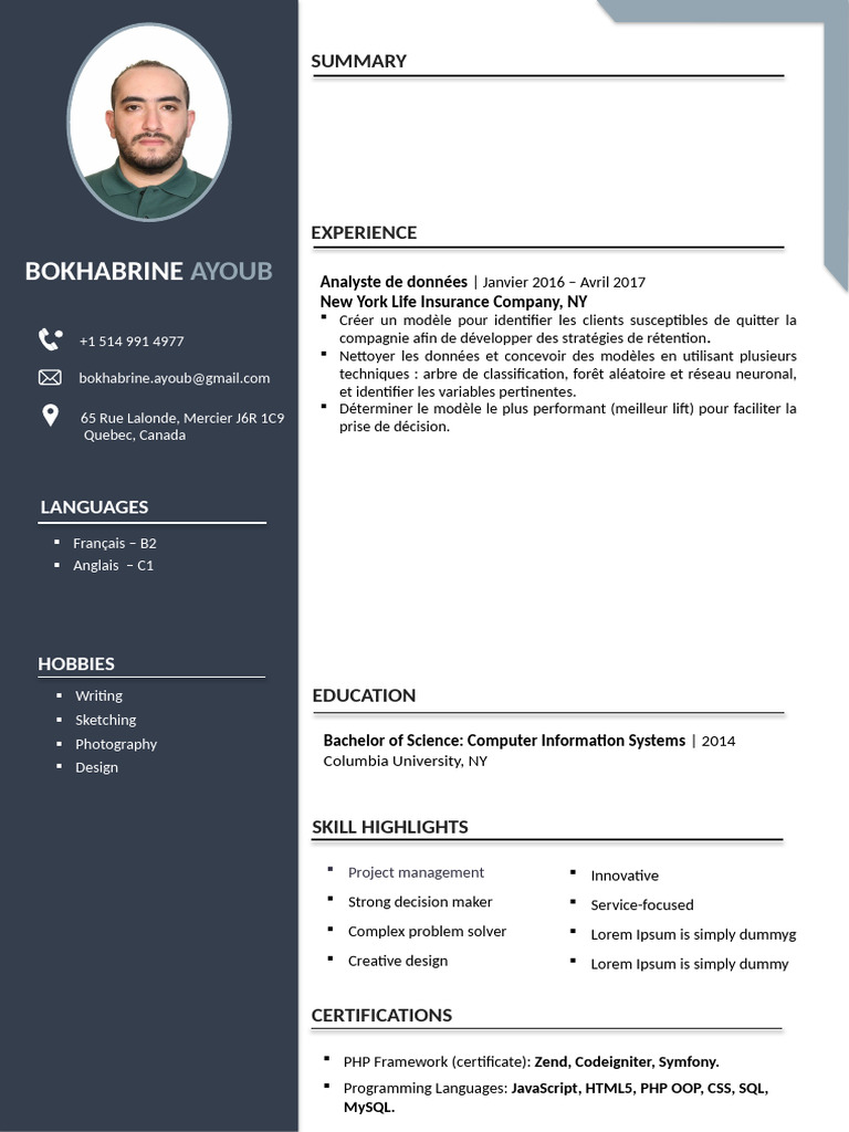 CV Resume Auditor | PDF