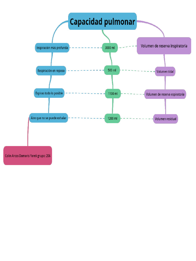 Capacidad y Volumen Pulmonar | PDF