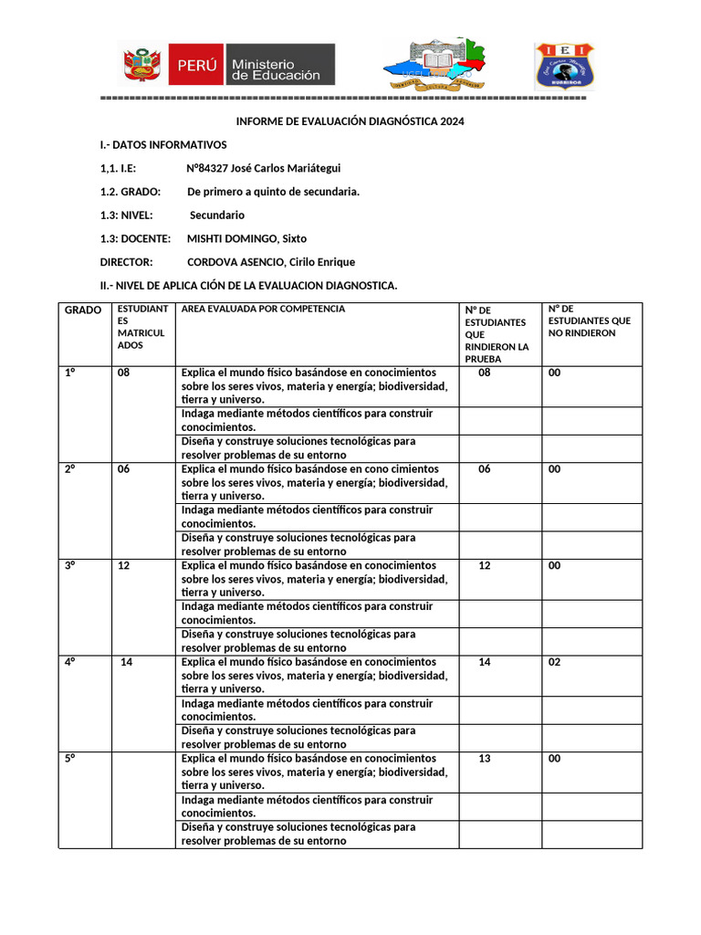Informe De Evaluación Diagnóstica Cyt 2024 Pdf 0536