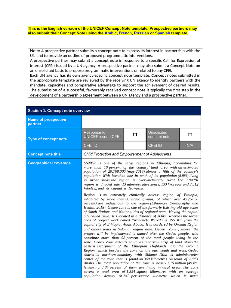 UNICEF Concept Note Template Guide | PDF | Violence | Performance Indicator