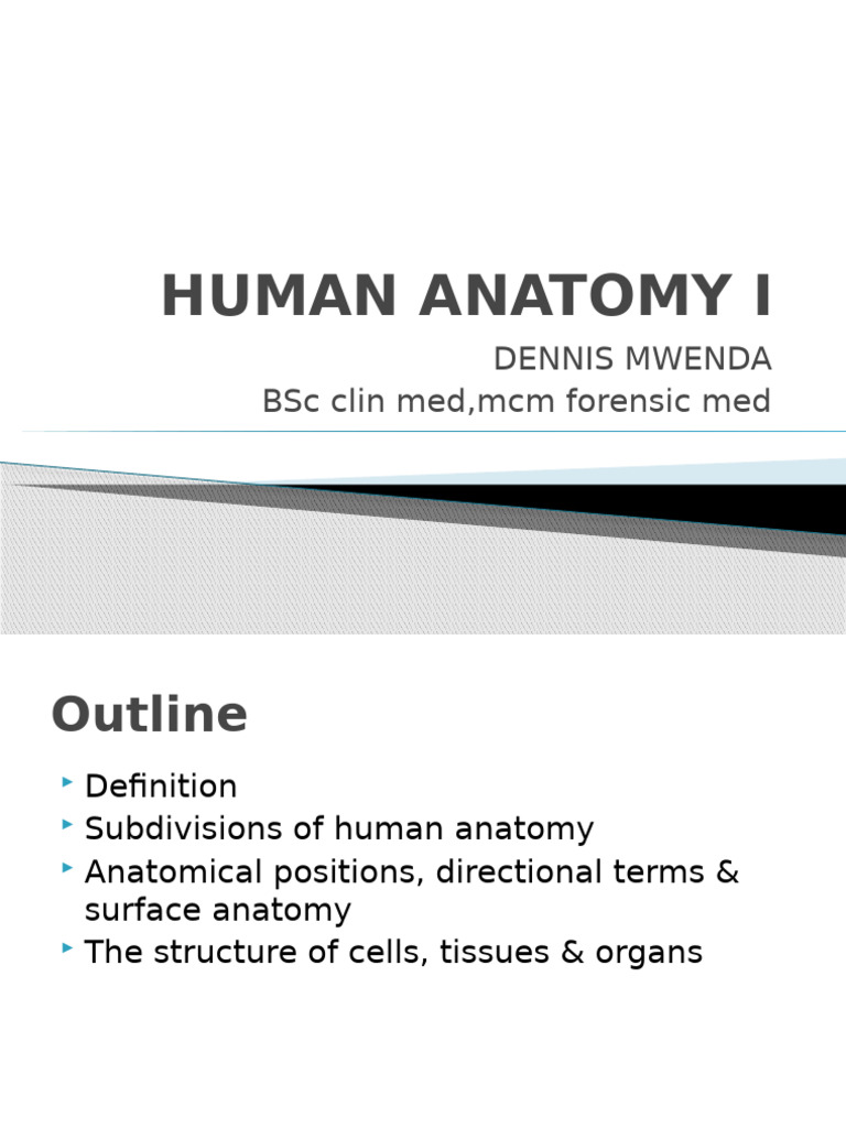 1 HUMAN ANATOMY 1 INTRO den | PDF
