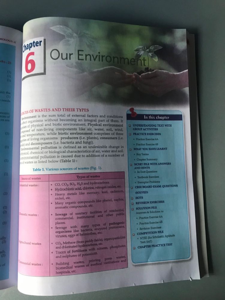 Environment | PDF