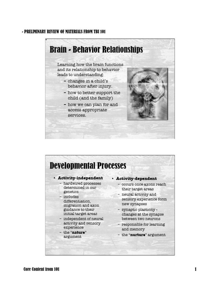 TBI 101 Review ONLINE | PDF