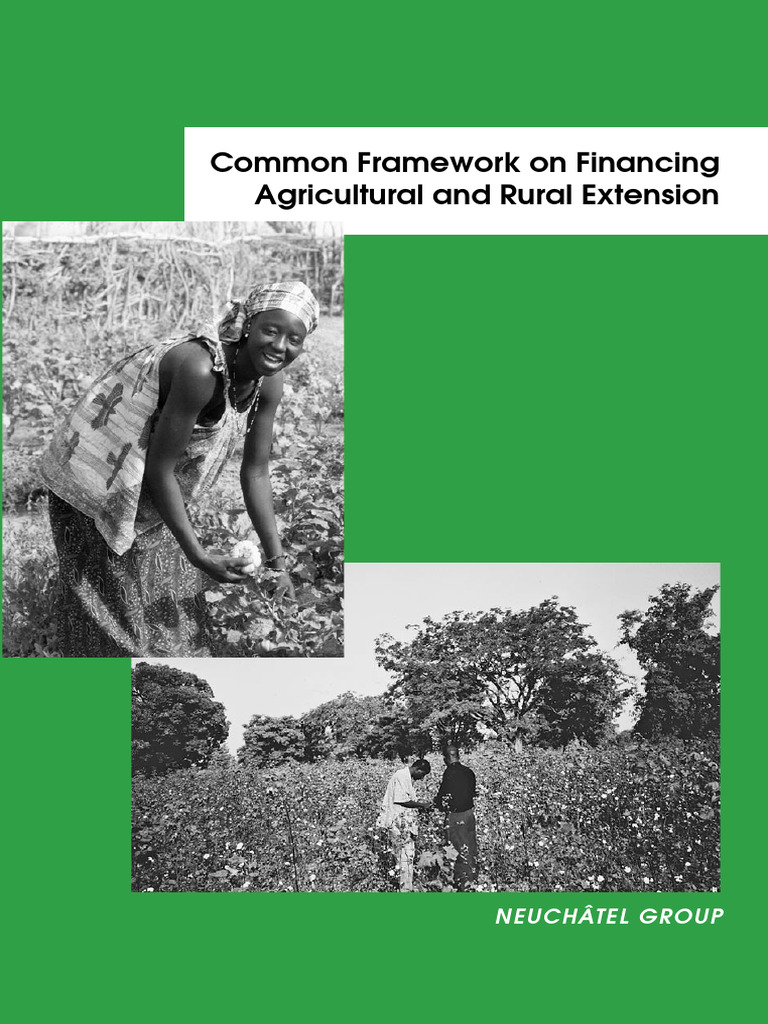 Ni Common Framework On Financing | PDF