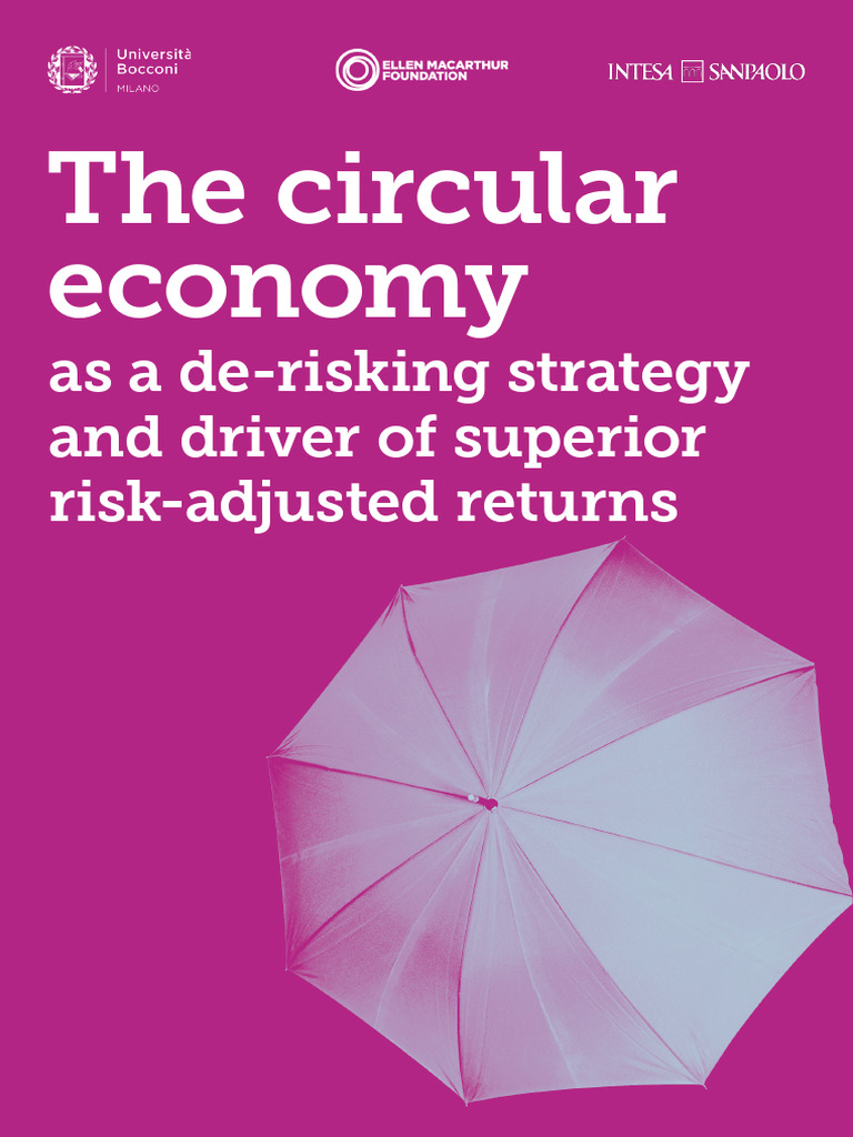 The Circular Economy As A De-Risking Strategy and Driver of Superior ...