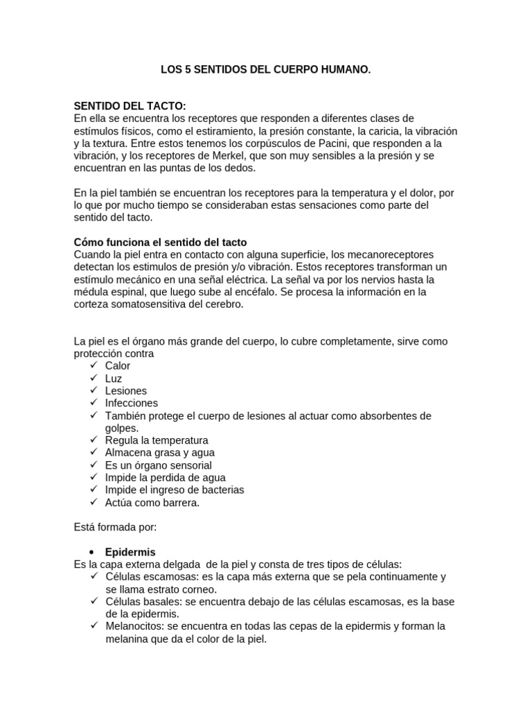 Los 5 Sentidos | PDF